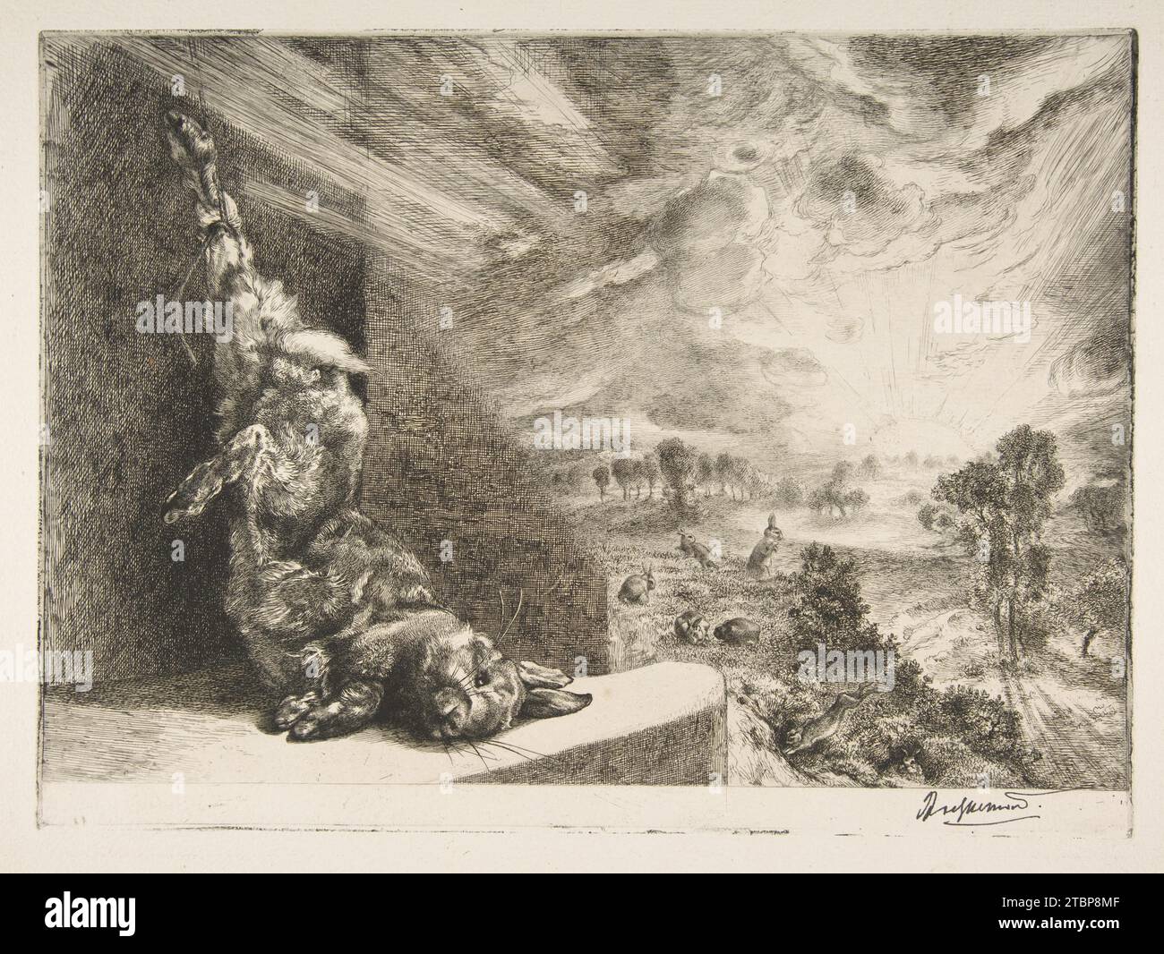 Jeannot lapin hi-res stock photography and images - Alamy