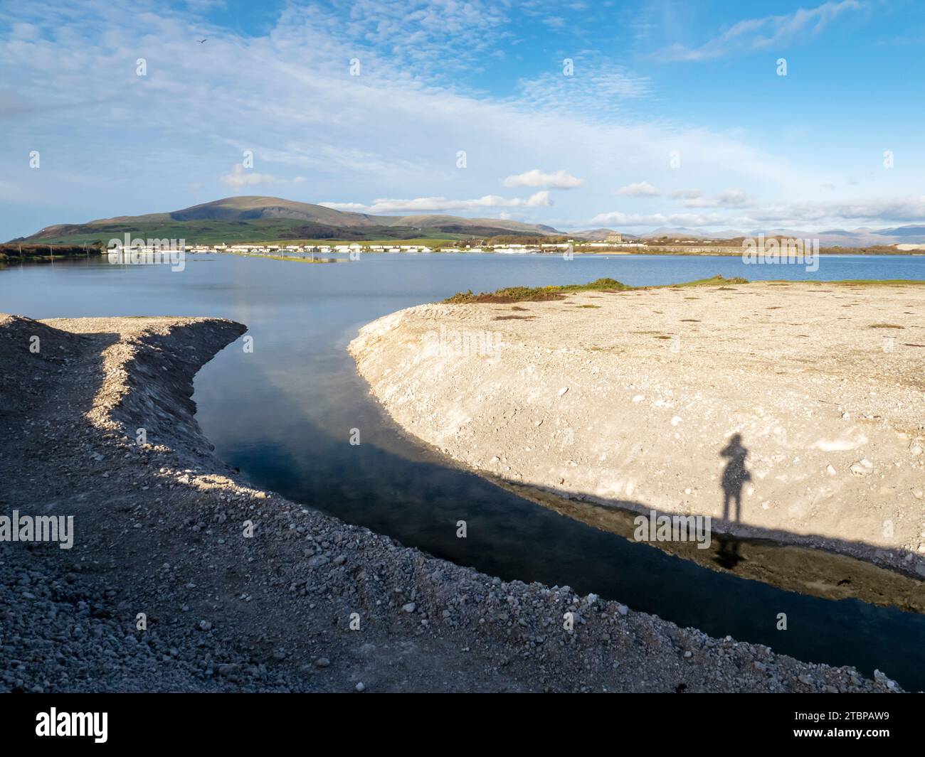 A new island constructed to encourage more terns to breed at Hodbarrow ...