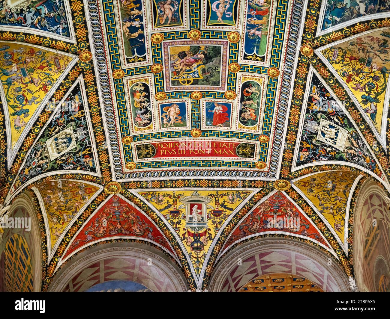 Siena cathedral inside hi-res stock photography and images - Alamy