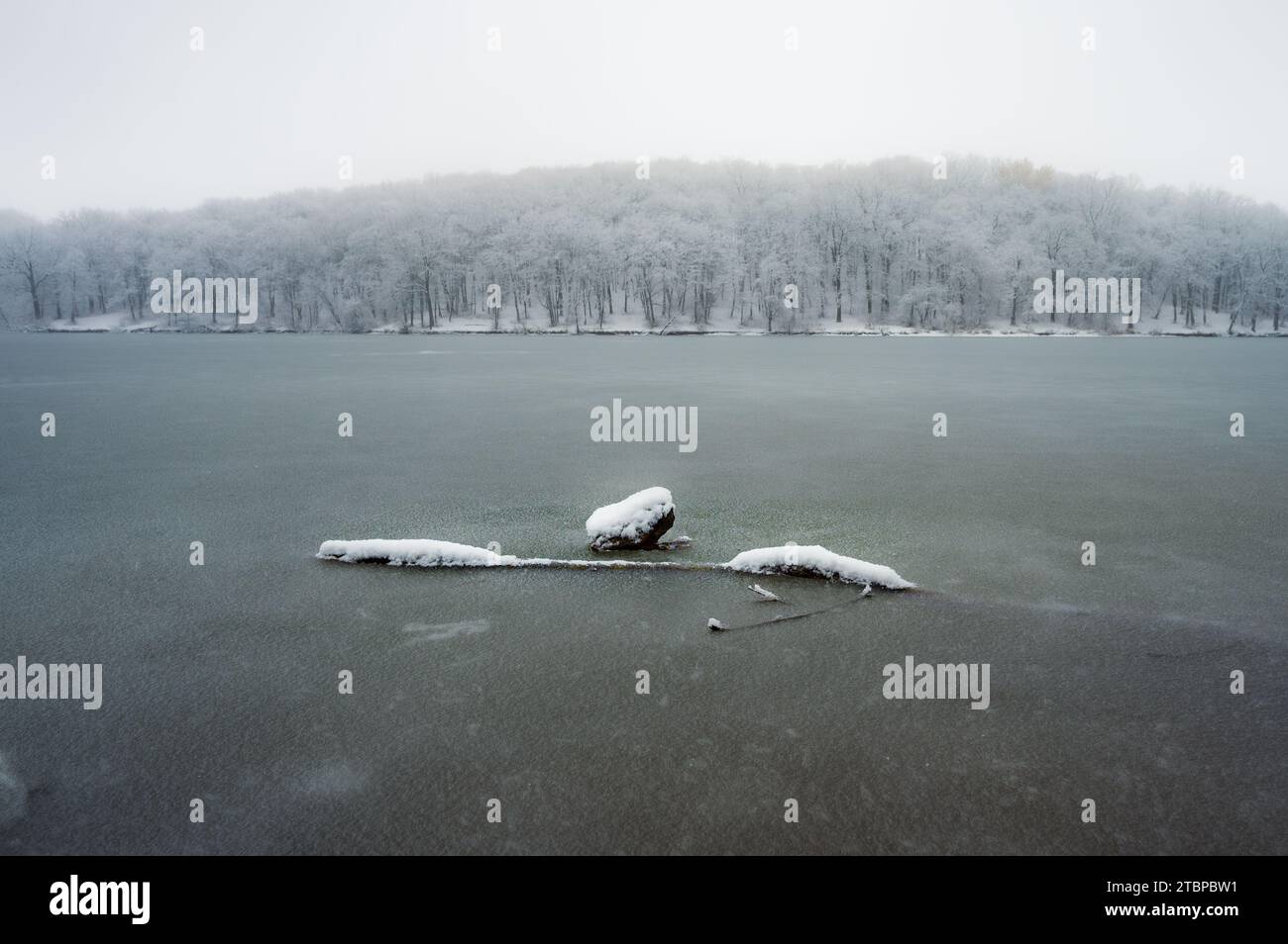Frozen trees and ice and nature hi-res stock photography and images - Alamy