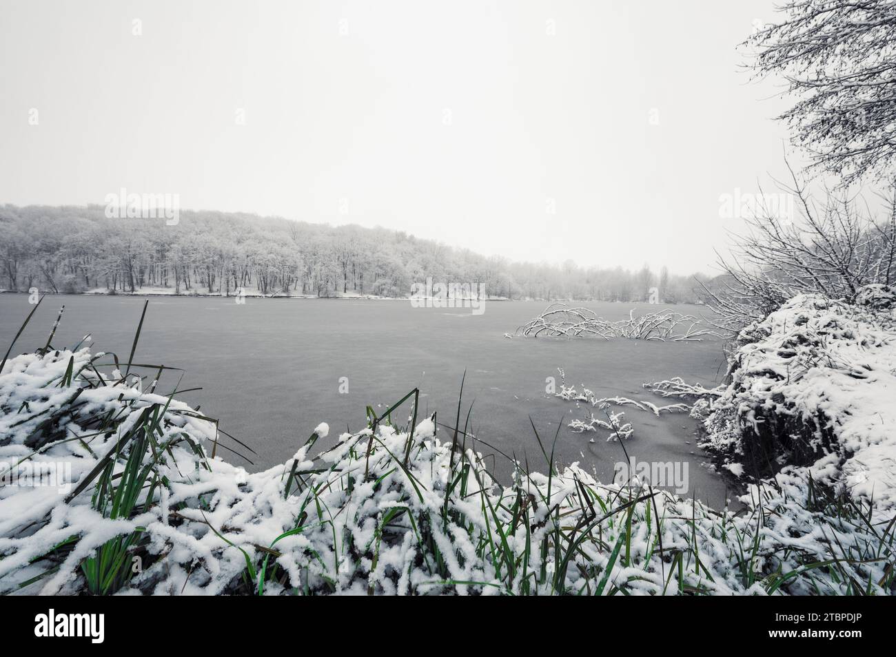 Snow covered river bank green hi-res stock photography and images - Alamy
