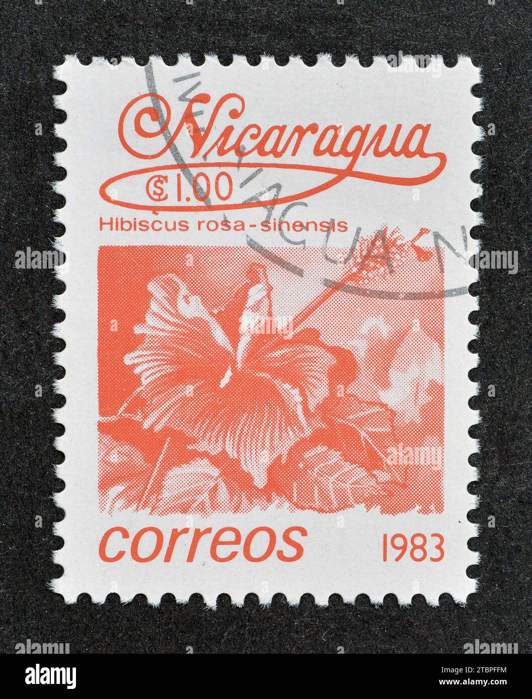 Cancelled postage stamp printed by Nicaragua, that shows Hibiscus rosa ...