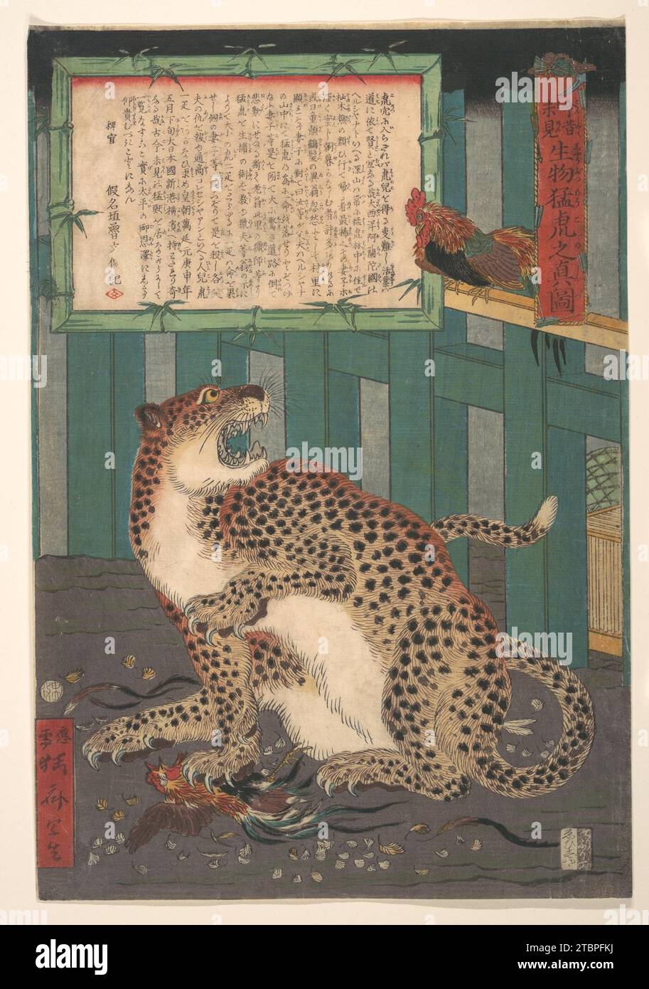 Never Seen Before: True Picture of a Live Wild Tiger (Konjaku miken ...