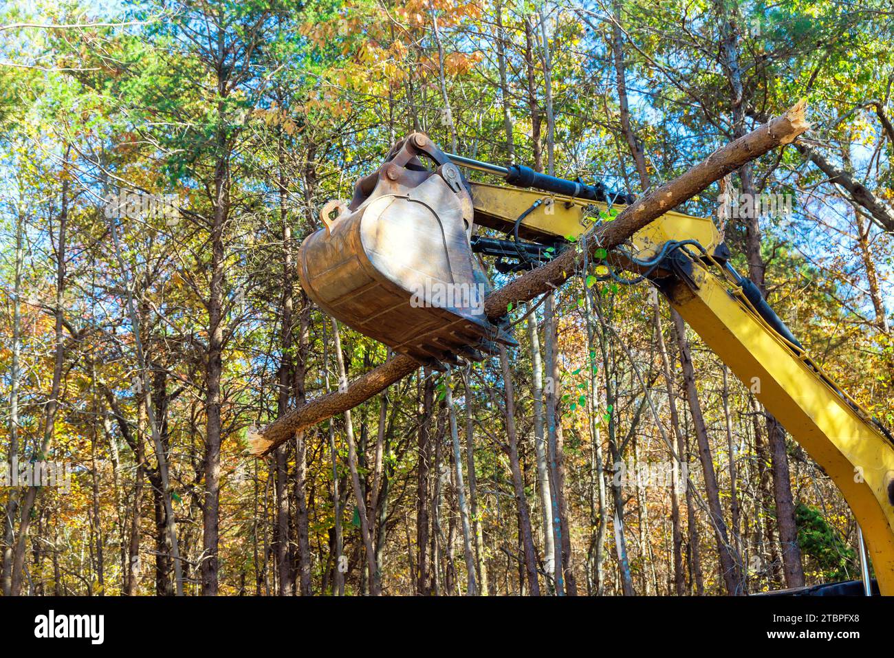 Trees are uprooted by builder using tractor to prepare ground for ...