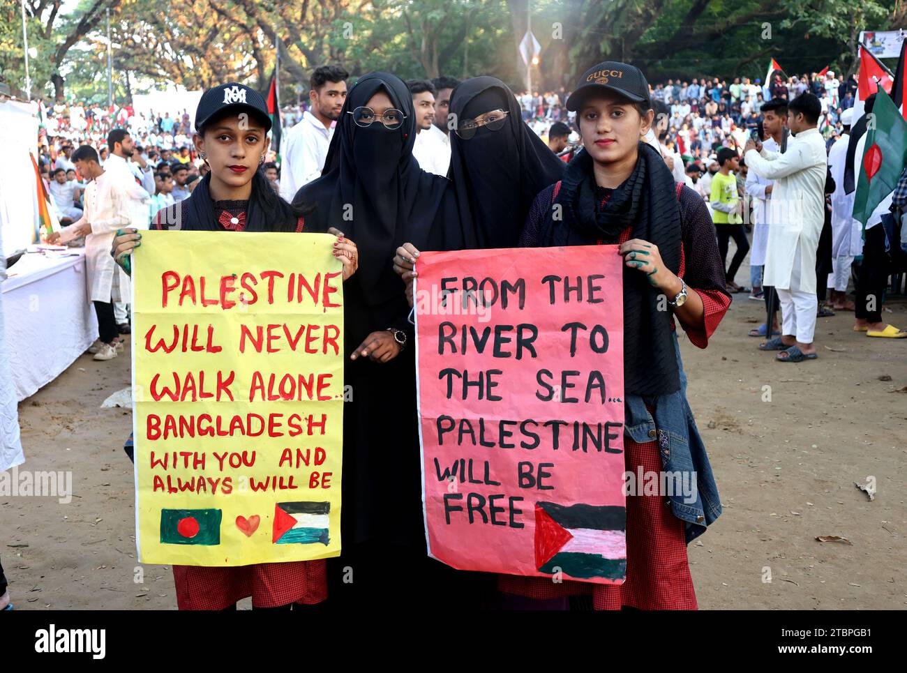 Snakes of bangladesh hi-res stock photography and images - Alamy