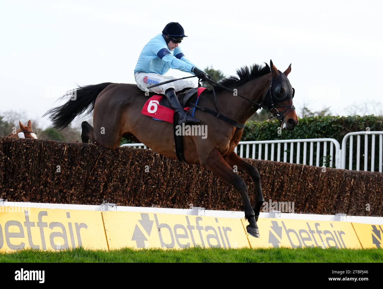 Mount Tempest ridden by Harry Skelton wins The Best Odds On The Betfair ...