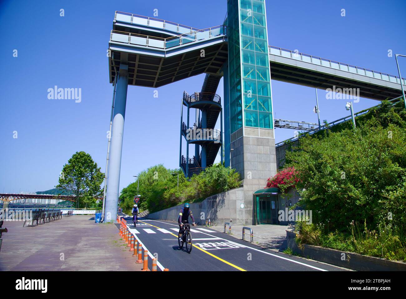 Ttukseom Hangang Park in Seoul offers a refreshing urban escape with ...