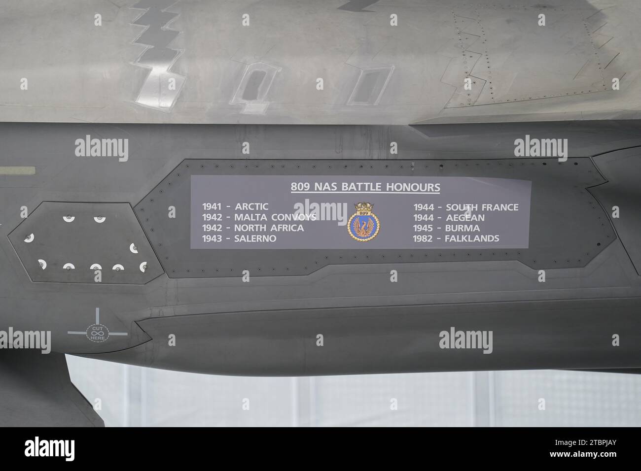 Detail on an F-35 Lightning stealth jet from 809 Naval Air Squadron ...