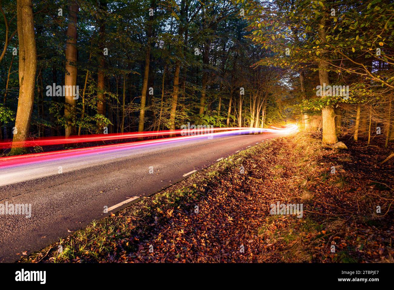 A long exposure of car headlights streaking down a highway road at ...