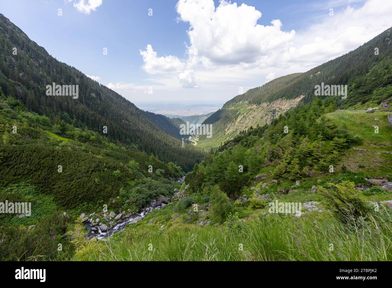 A scenic view of a valley blanketed in lush vegetation, with rolling ...