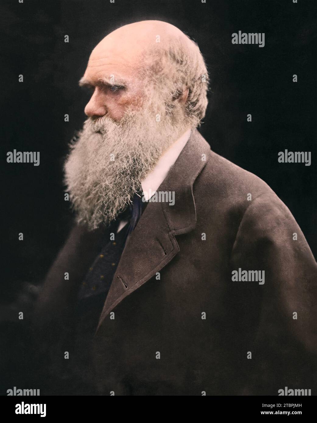 Charles darwin portrait color hi-res stock photography and images - Alamy