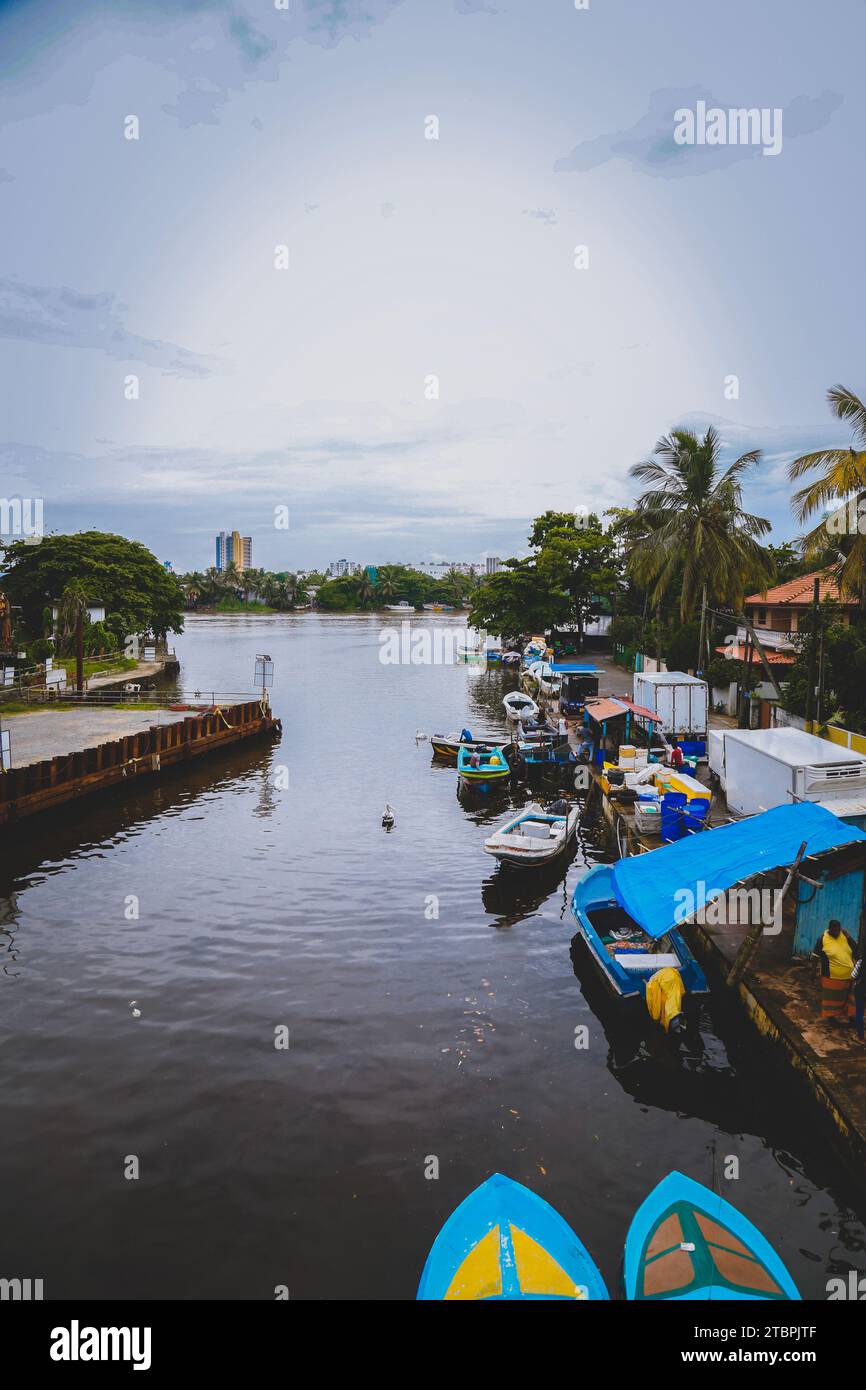 Beautiful scenes of fishermen fishing in their boats in Watala, Colombo ...