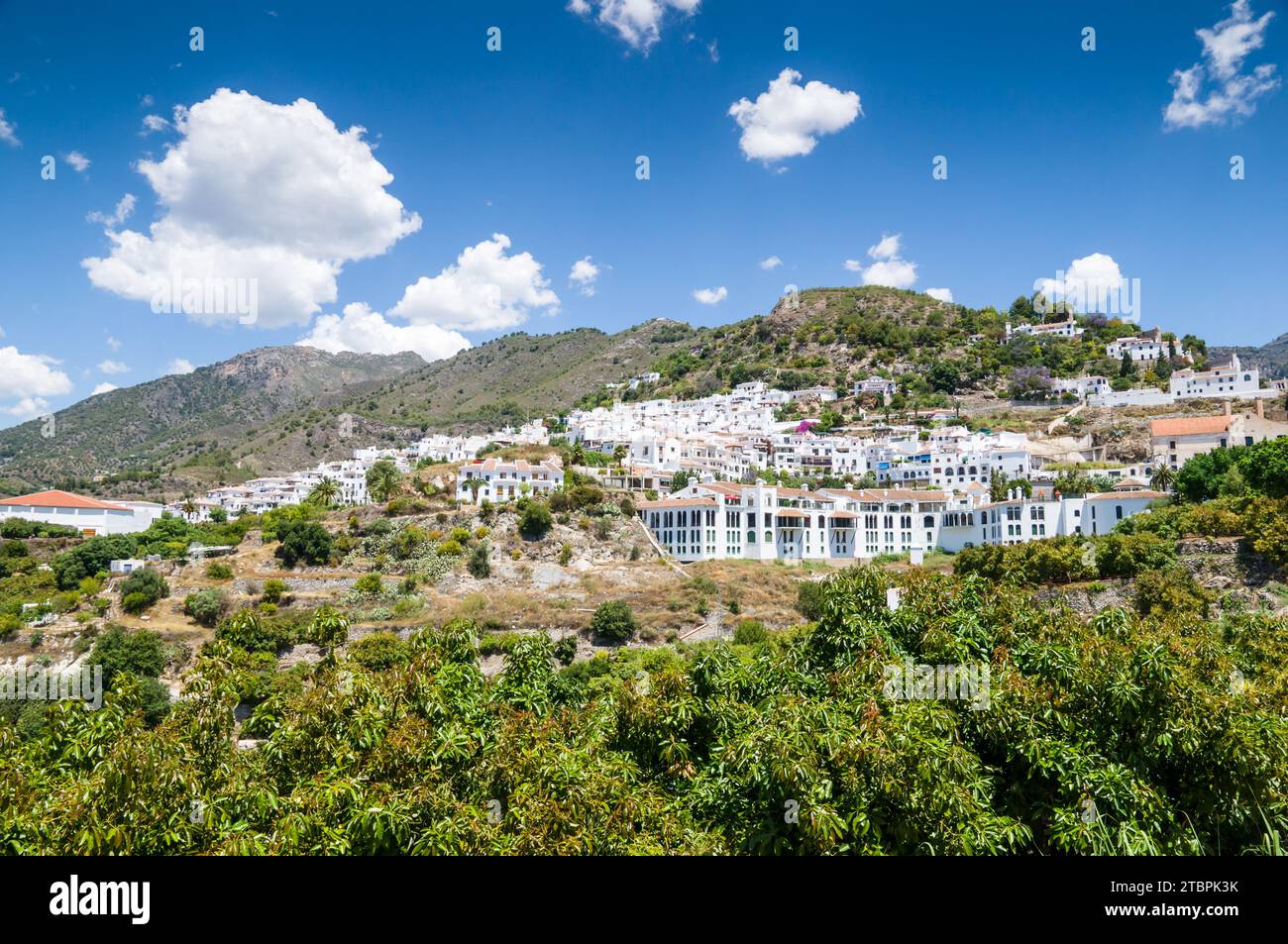Aerial view of a small village surrounded by lush green trees and ...