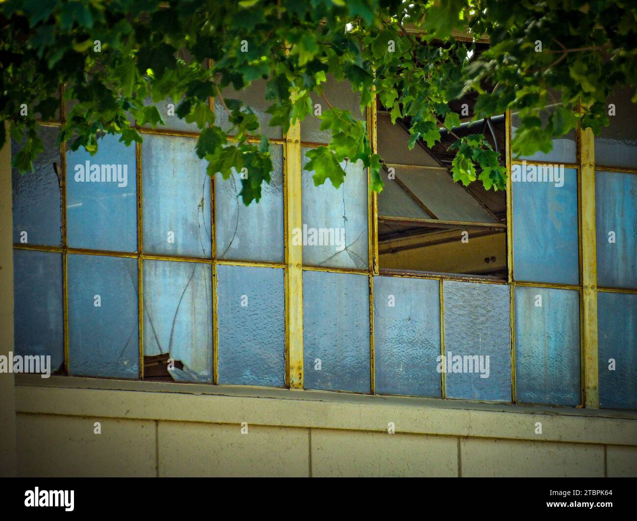 A close-up view of a cracked window of an aged building with the ...