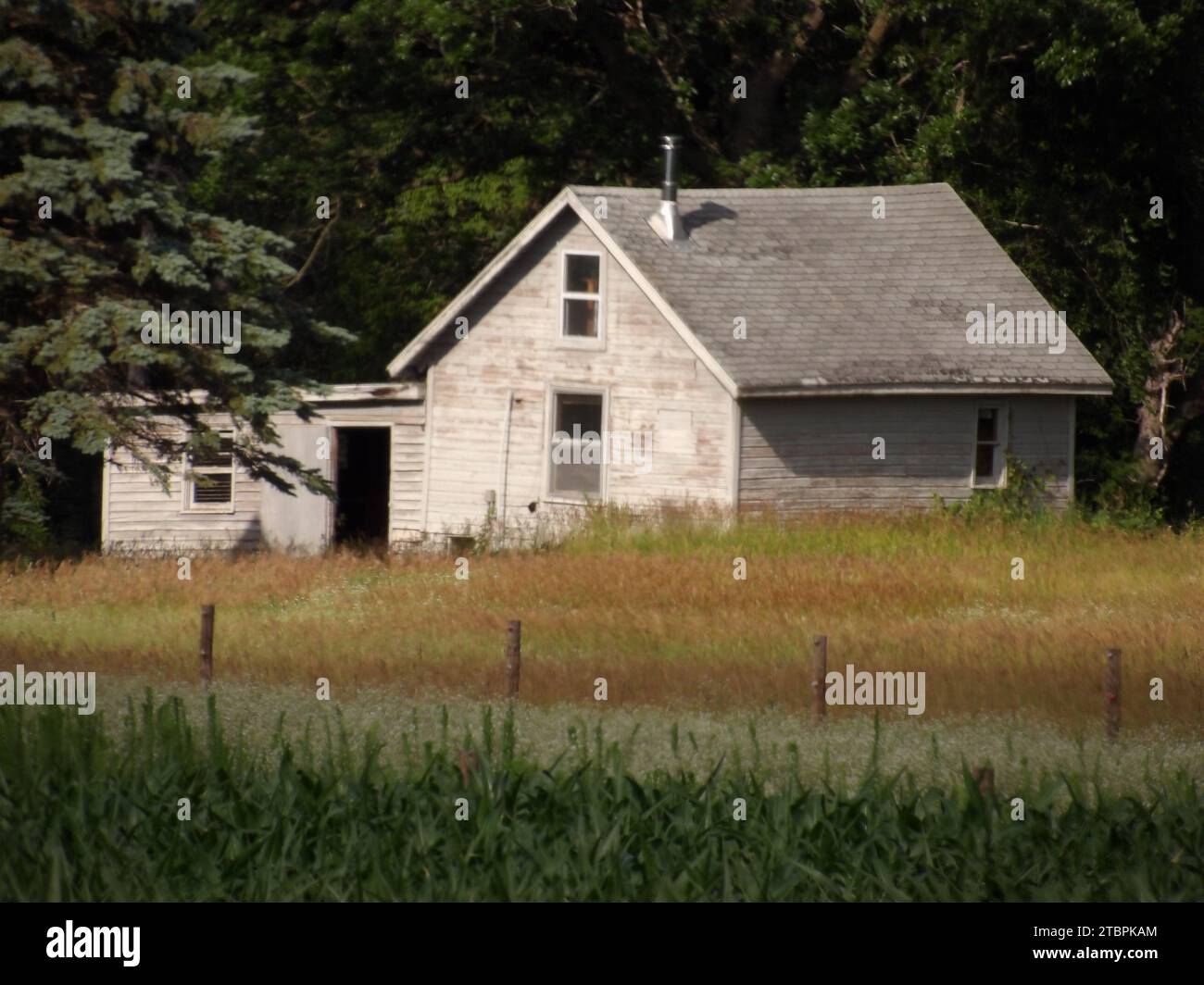 A two-story residential home is situated in the middle of an unkempt ...