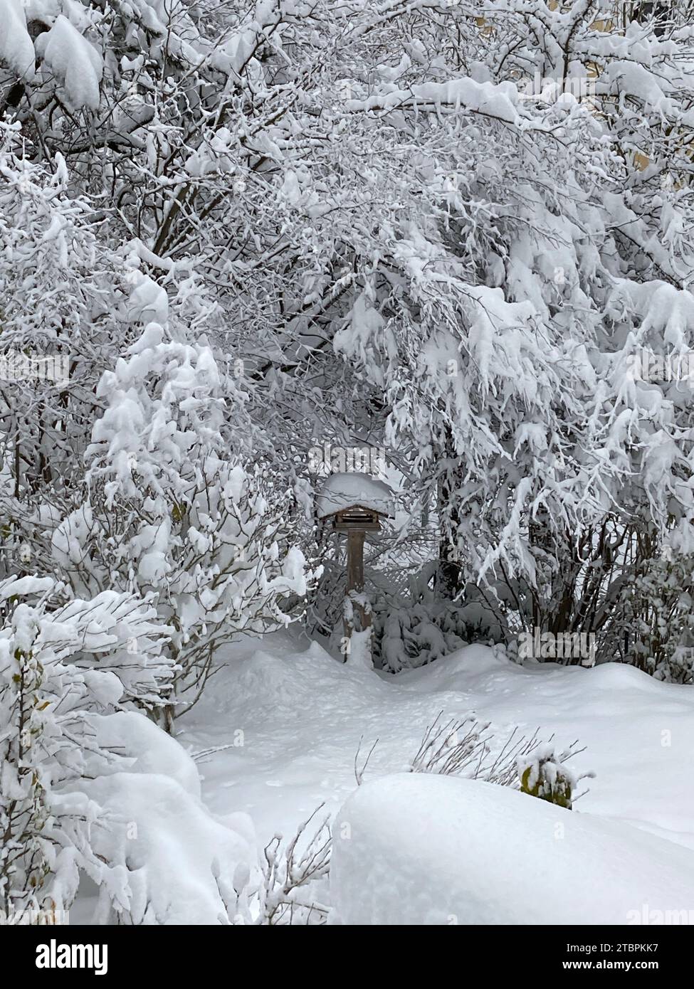 Blanketed hi-res stock photography and images - Alamy