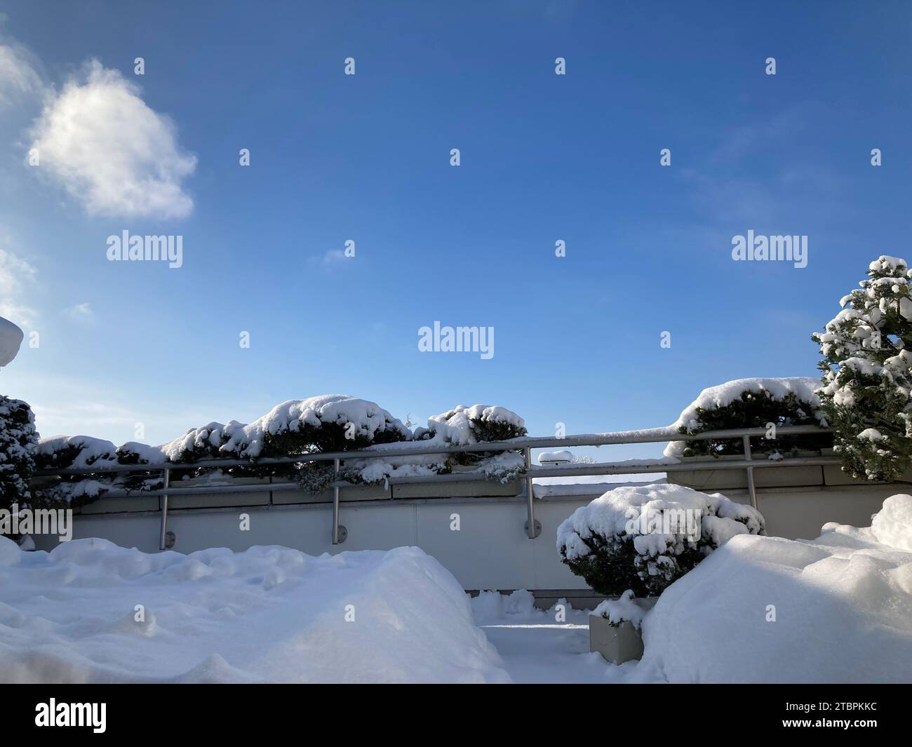 A scenic winter scene featuring a bridge with snow-covered bushes Stock ...