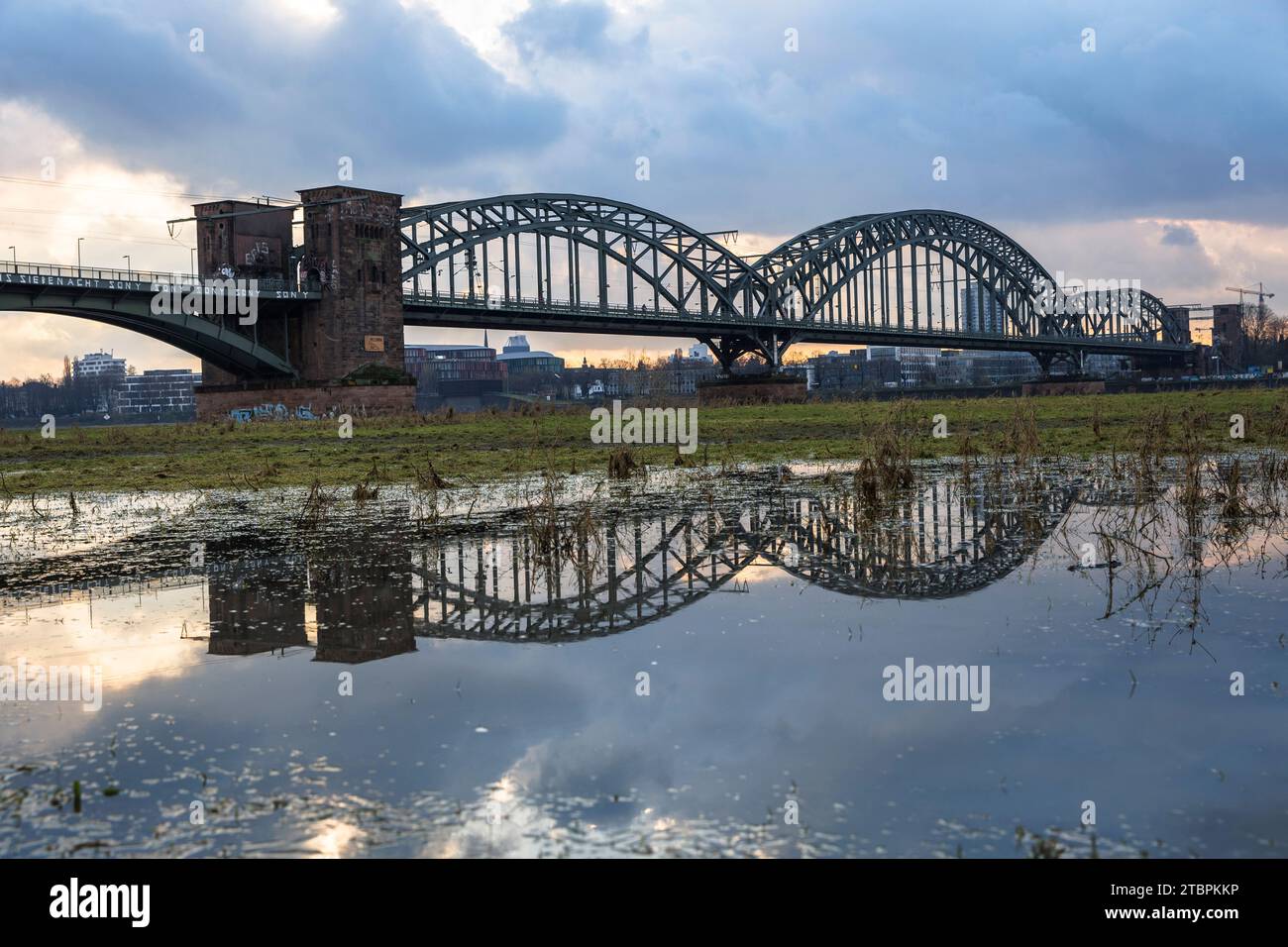 the Suedbruecke, railroad bridge over the river Rhine reflects in flood ...