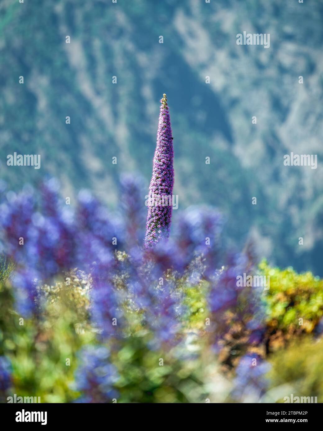 Full stands hi-res stock photography and images - Alamy
