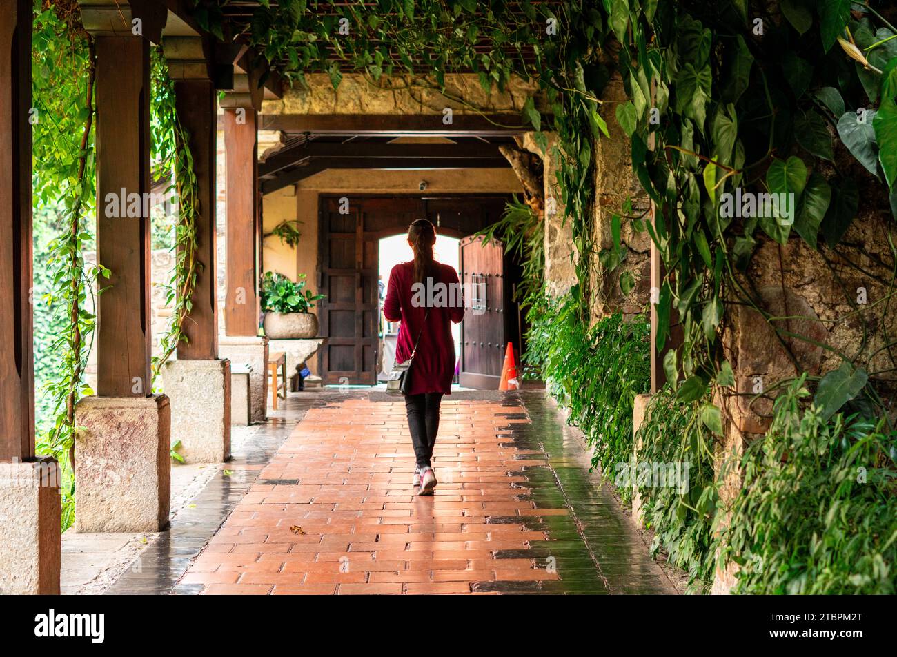 Walking down a pathway hi-res stock photography and images - Alamy