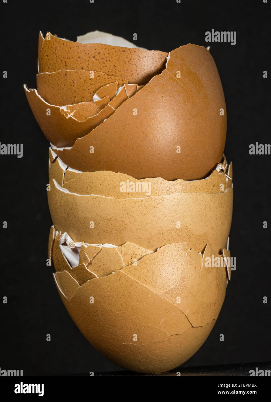 A white eggshell with a broken edge, with a whole egg nestled within ...