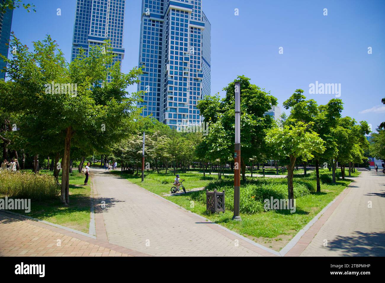 Seoul Forest, a vibrant blend of natural beauty and artistic expression ...