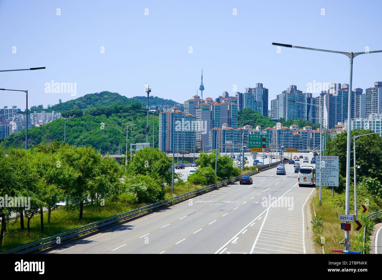 From the vantage point of Seoul Forest Walkway, this captivating scene ...