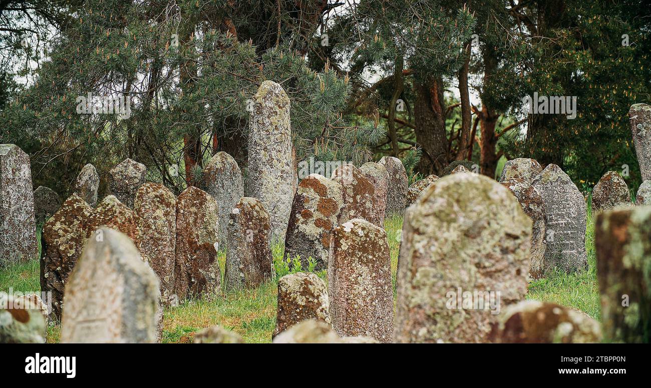 Old ancient Jewish cemetery in summer spring day. green grass and many ...