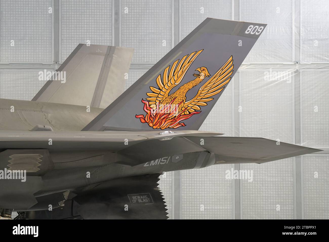 Detail on the tail of an F-35 Lightning stealth jet from 809 Naval Air ...