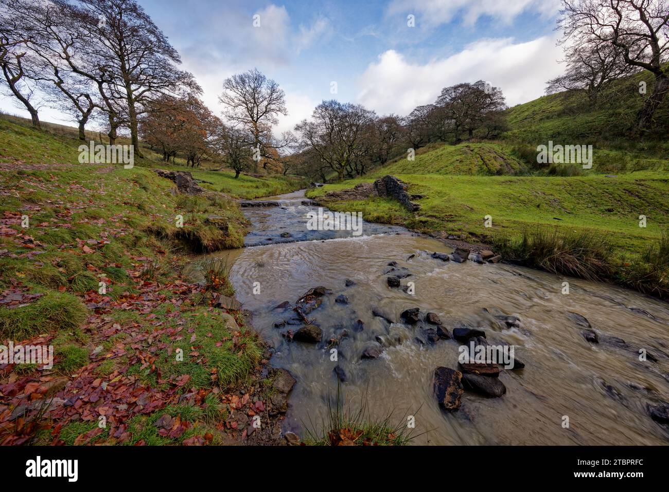 Scout moor bottom hi-res stock photography and images - Alamy