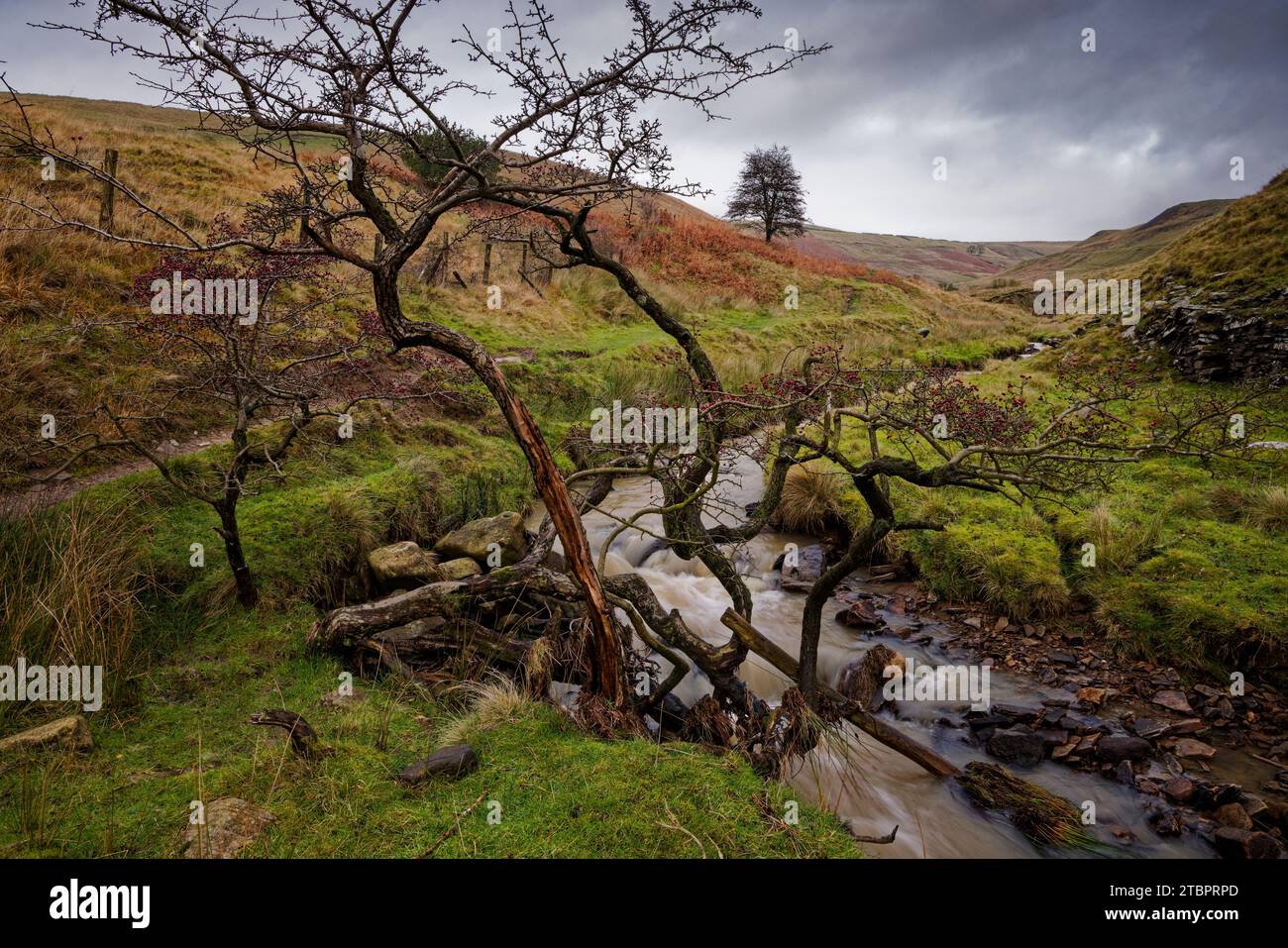 Scout moor bottom hi-res stock photography and images - Alamy