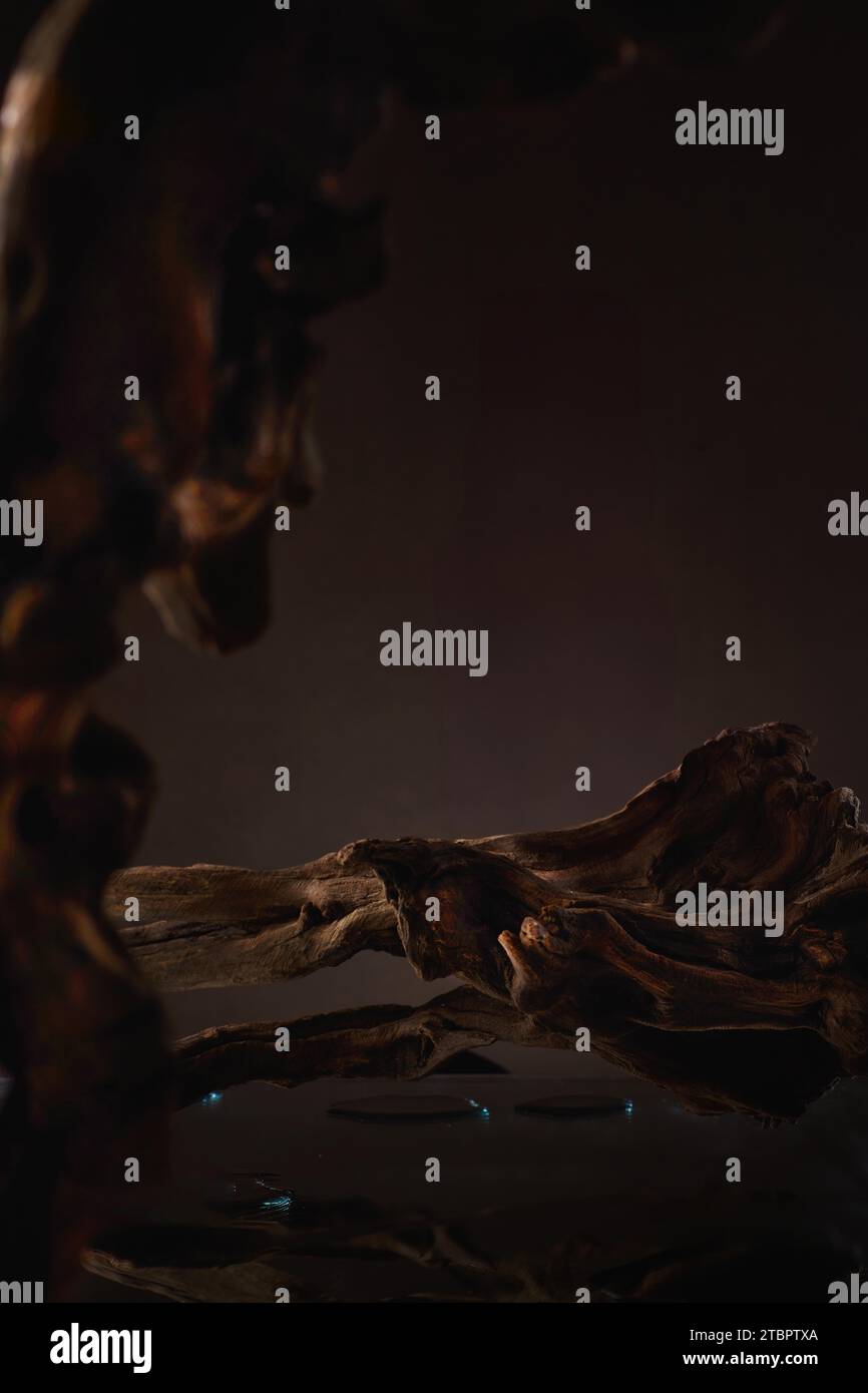 Product backdrop designs, Product showcase backdrop, Product ...