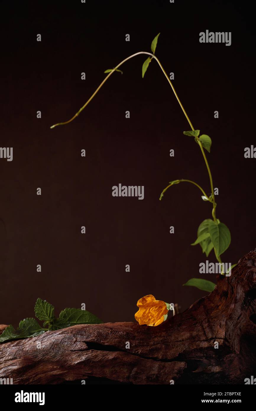 Product backdrop designs, Product showcase backdrop, Product ...