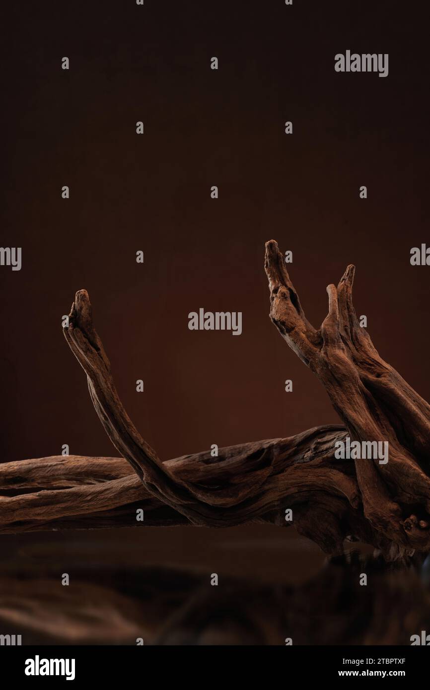 Product backdrop designs, Product showcase backdrop, Product ...