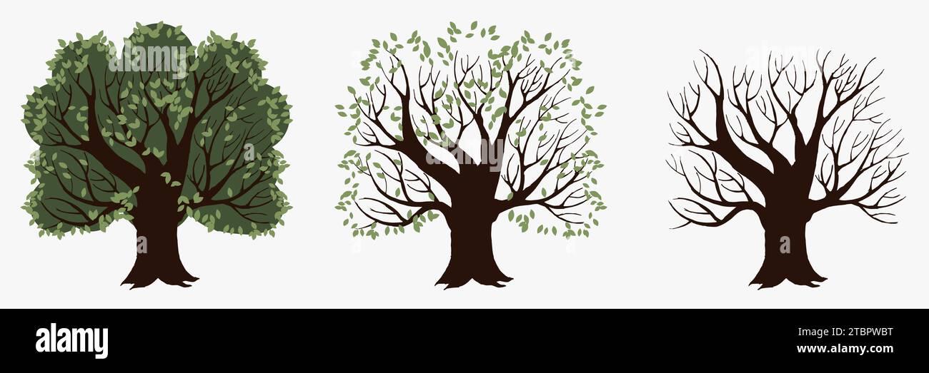 Season tree without foliage Stock Vector Images - Alamy