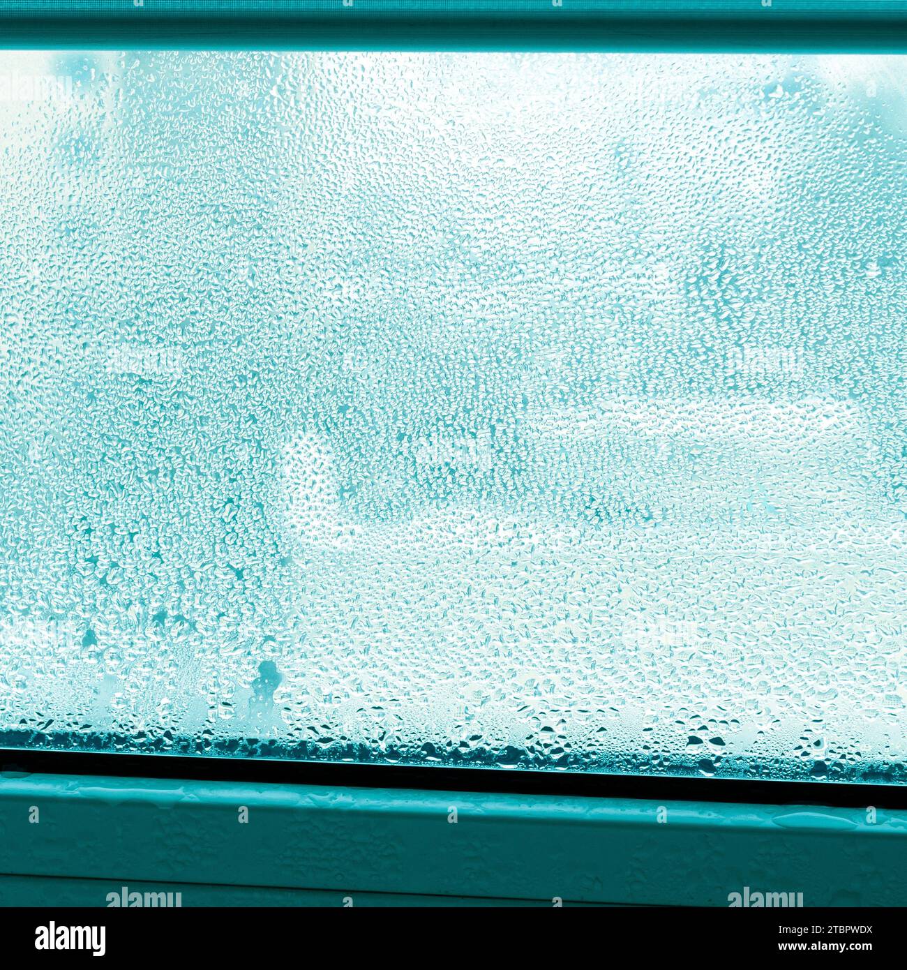 Greenhouse effect. Drops of condensation on a metal-plastic window ...
