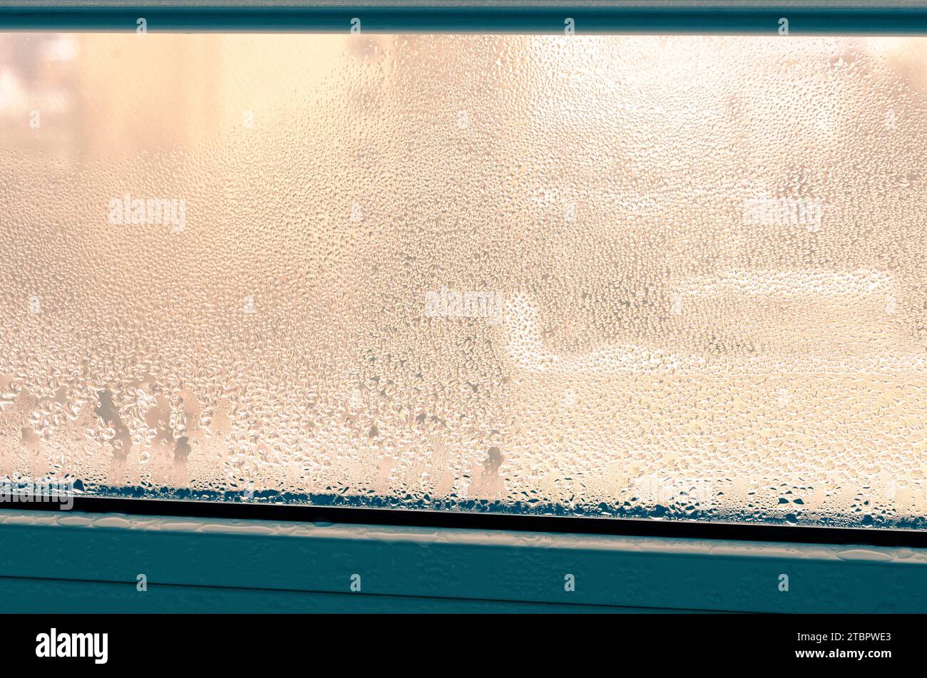 Greenhouse effect. Drops of condensation on a metal-plastic window ...