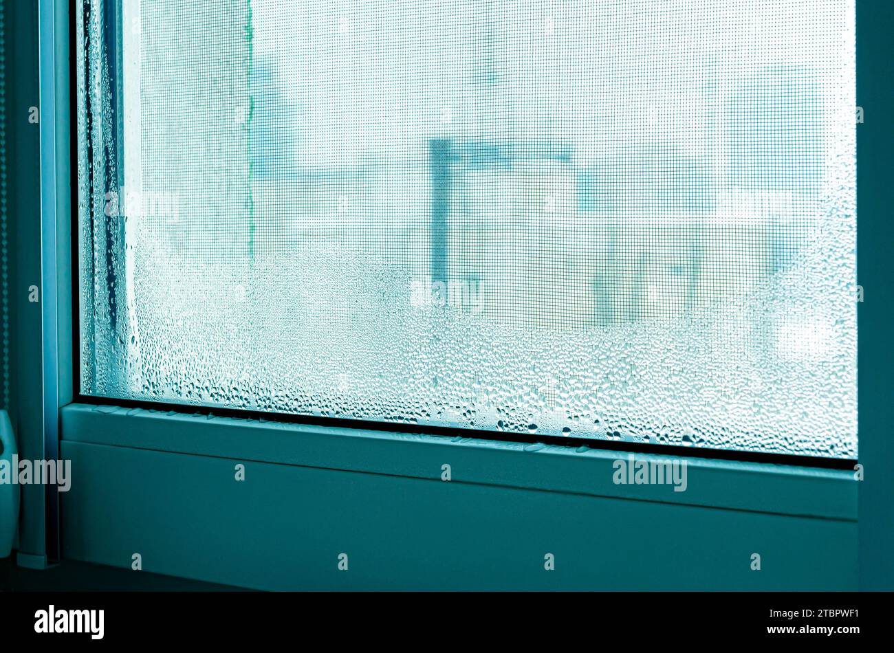 Greenhouse effect. Drops of condensation on a metal-plastic window ...