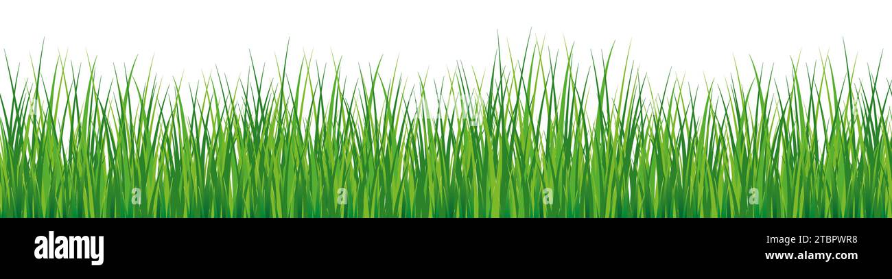 Border of green grass template Stock Vector Image & Art - Alamy