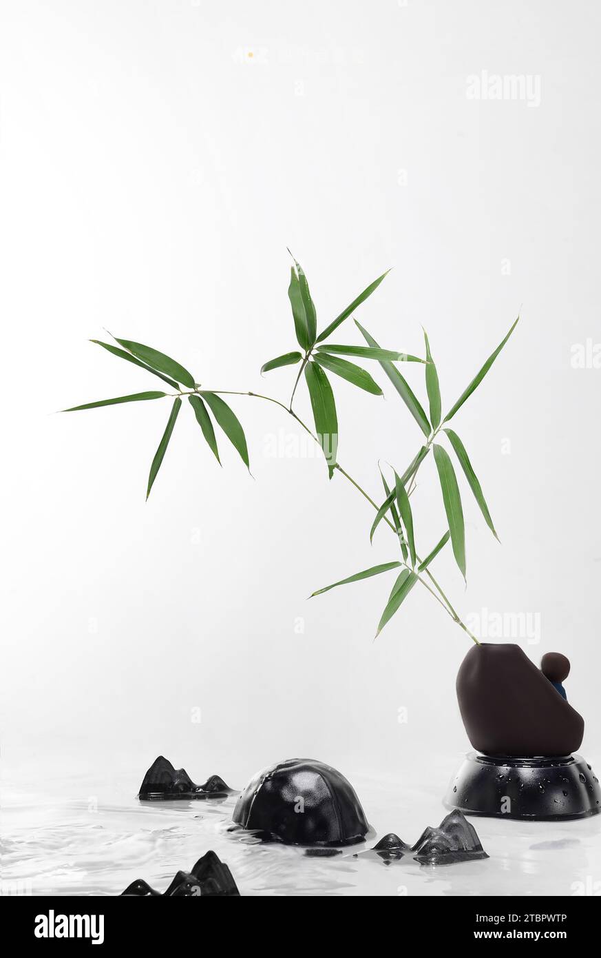 Product backdrop designs, Product showcase backdrop, Product ...