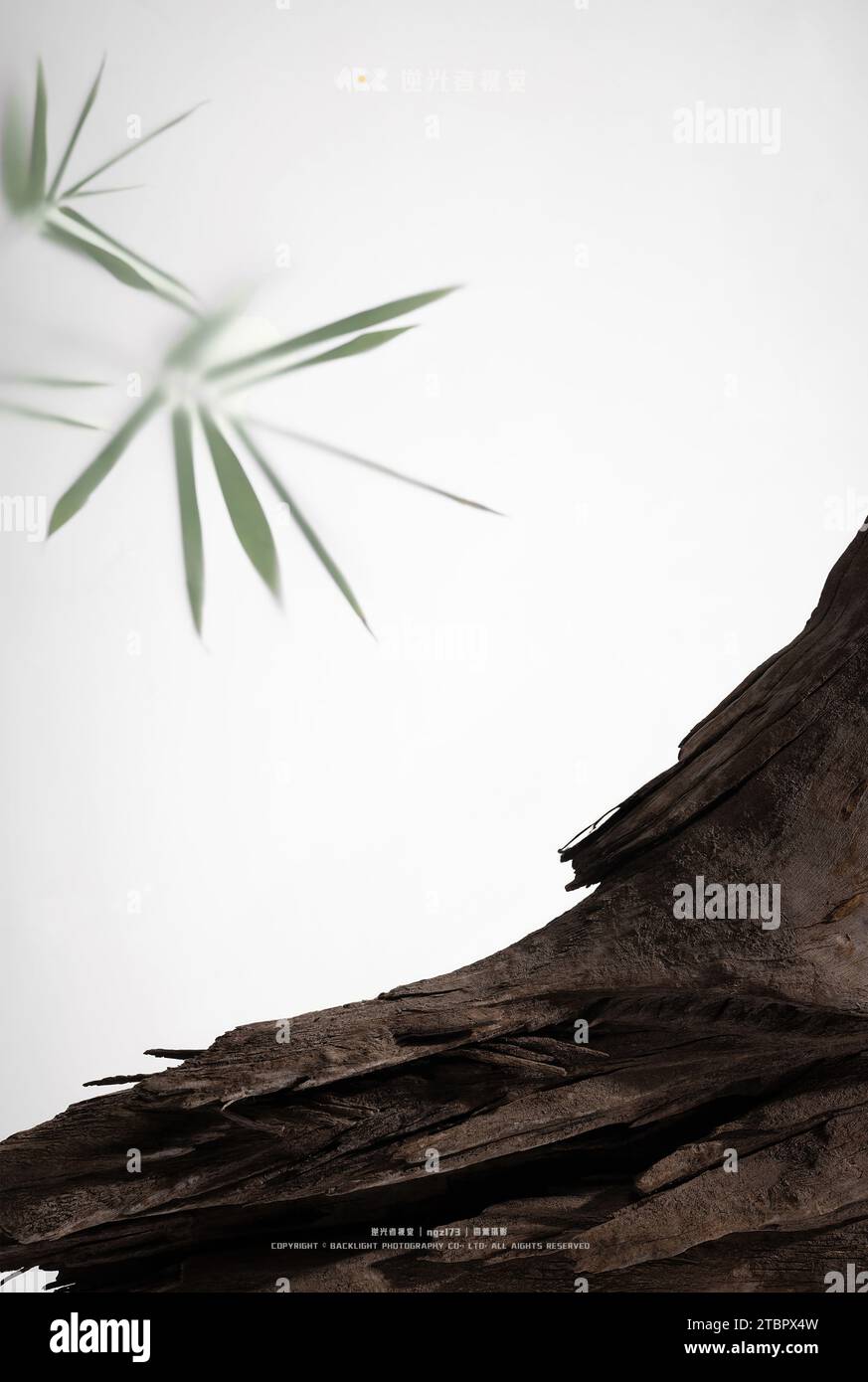 Product backdrop designs, Product showcase backdrop, Product ...