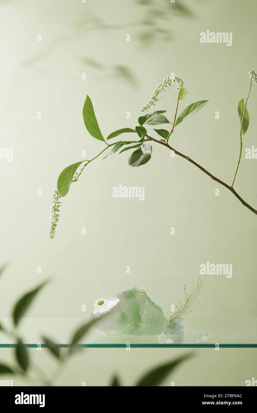 Product backdrop designs, Product showcase backdrop, Product ...