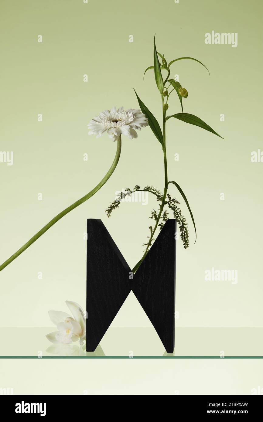 Product backdrop designs, Product showcase backdrop, Product ...