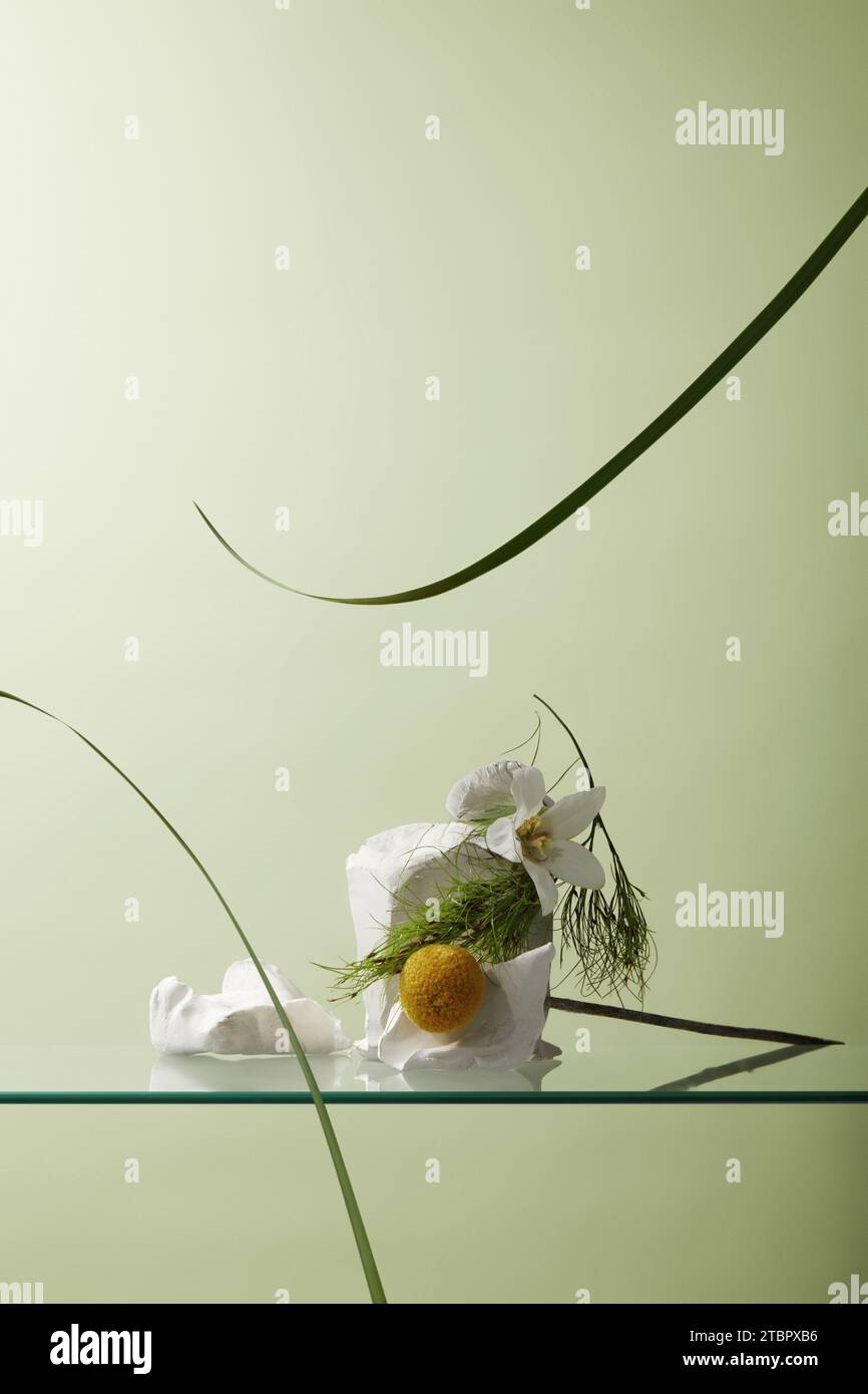 Product backdrop designs, Product showcase backdrop, Product ...