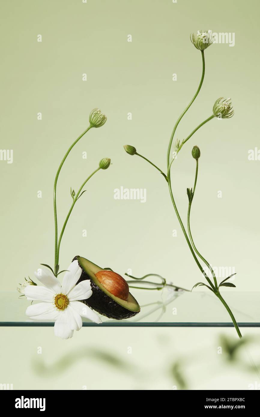 Product backdrop designs, Product showcase backdrop, Product ...