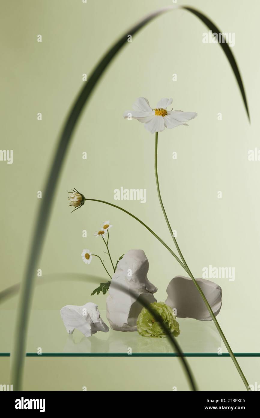 Product backdrop designs, Product showcase backdrop, Product ...