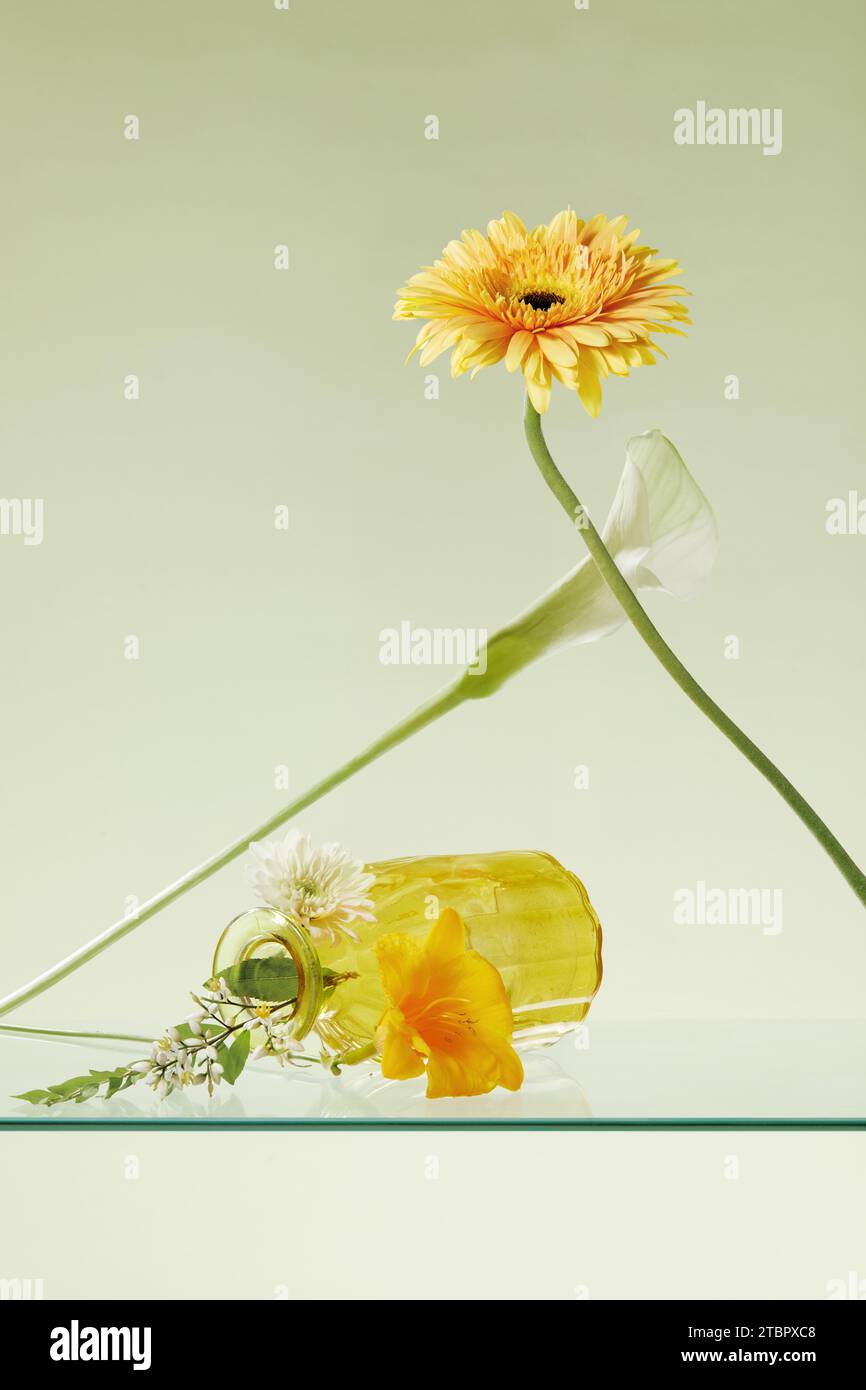 Product backdrop designs, Product showcase backdrop, Product ...