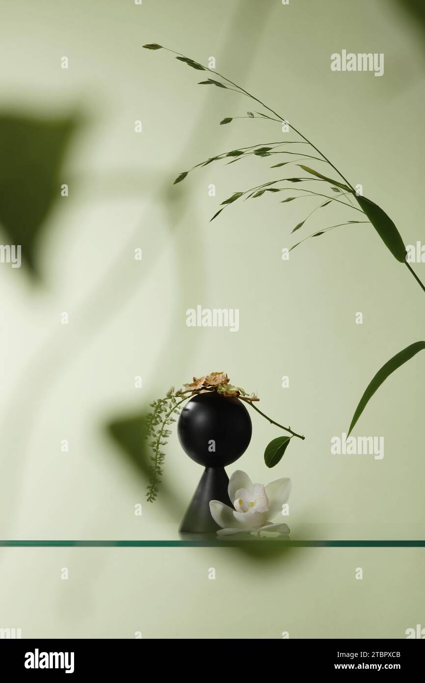 Product backdrop designs, Product showcase backdrop, Product ...