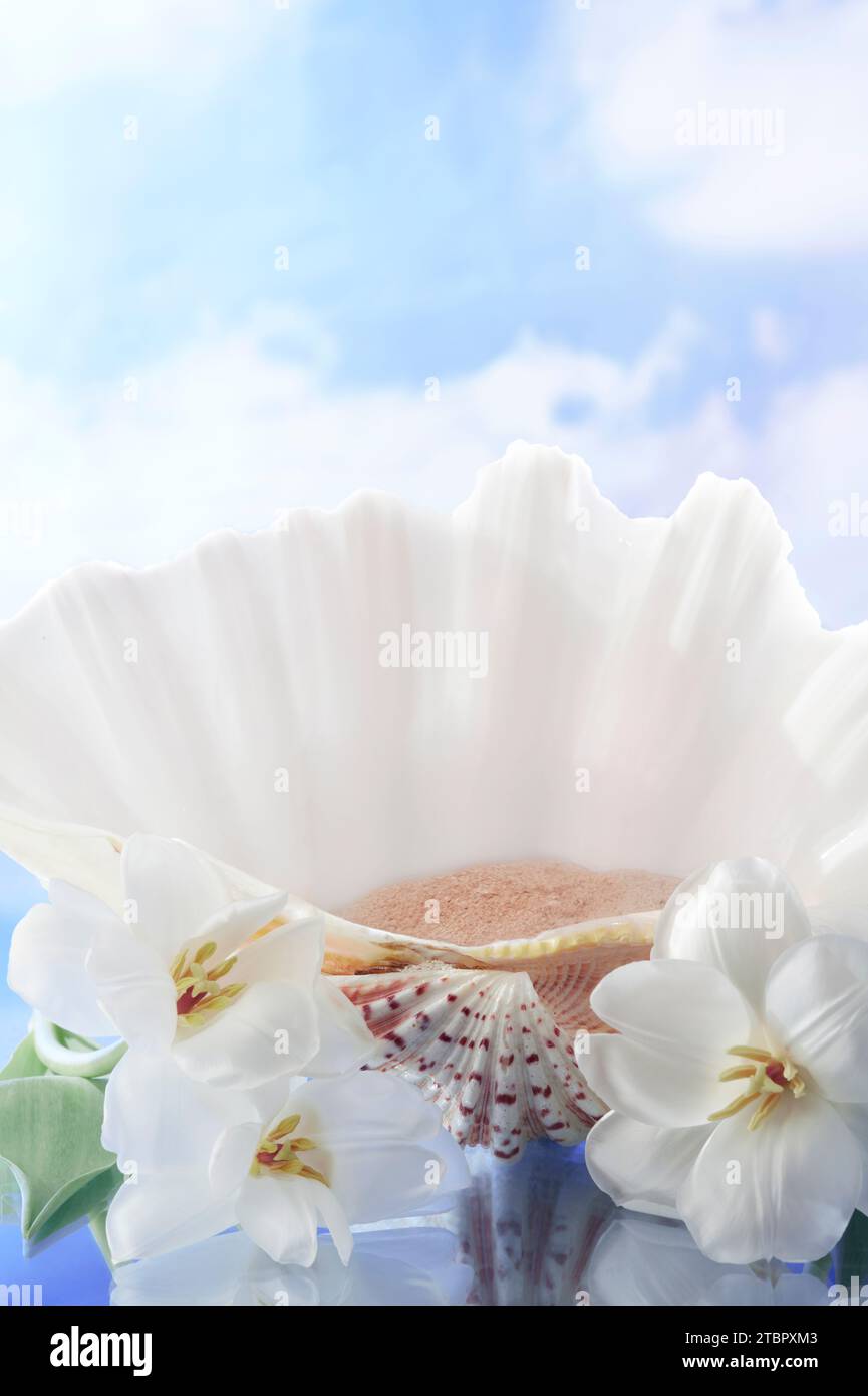 Product demonstration backdrops, Product advertising background ...