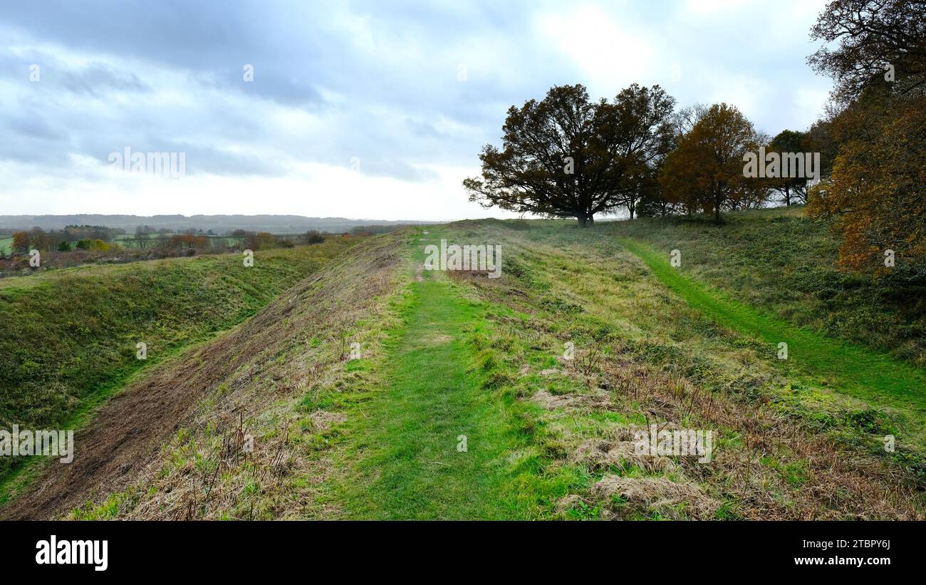 The defensive ramparts of Badbury Rings, Dorset - John Gollop Stock ...